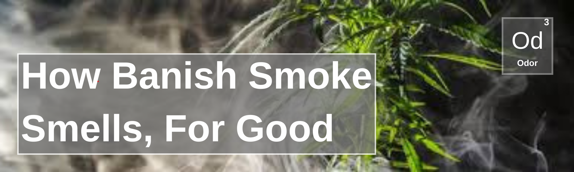 How to Banish Smoke Smells, for Good – San Assure